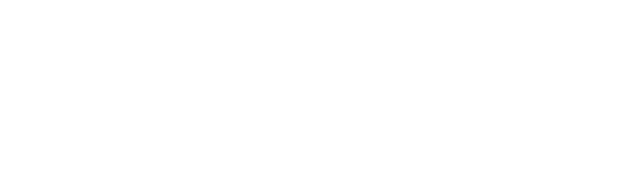 Wildix Showcase - XIOLOGIX